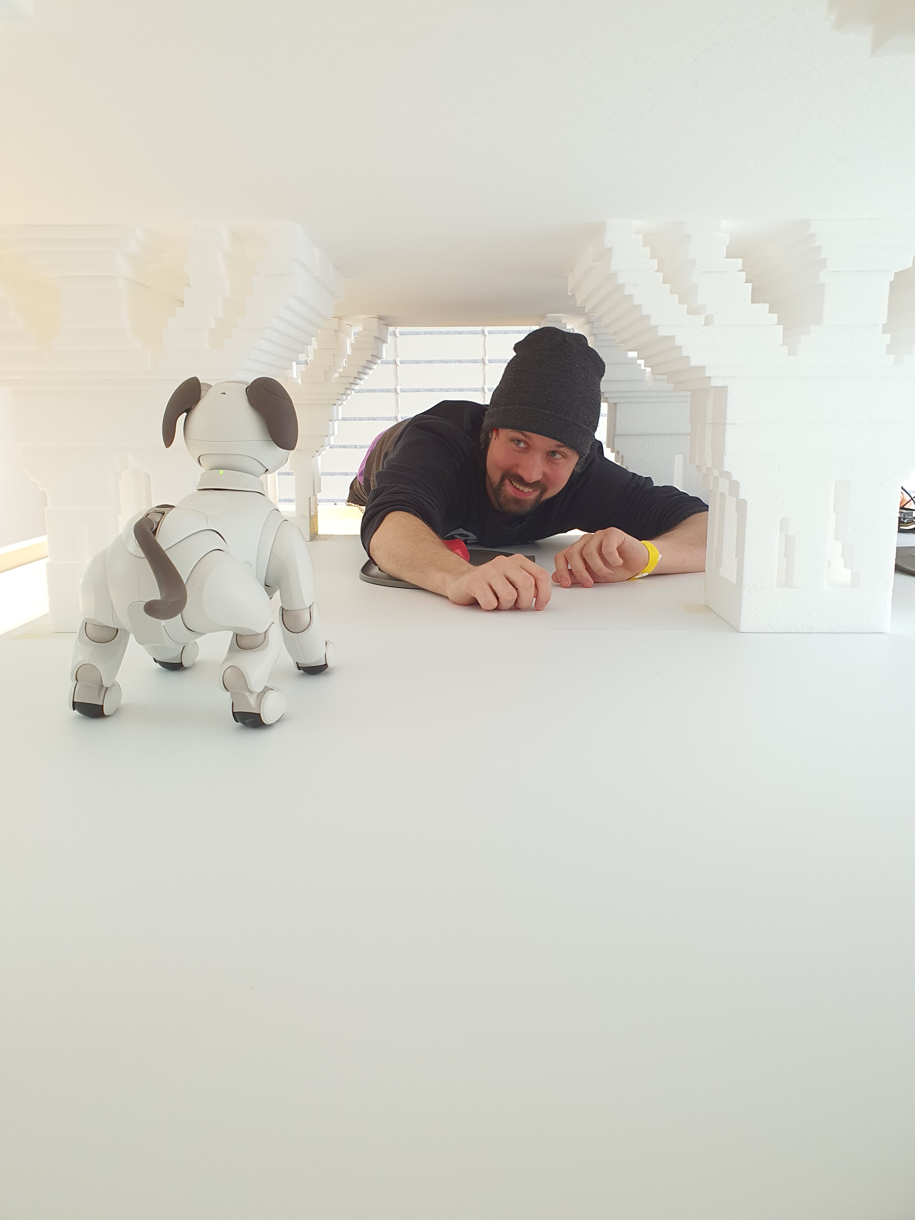 The doghouse – ai & architecture – MAK – Imagine/ A Journey into the ...